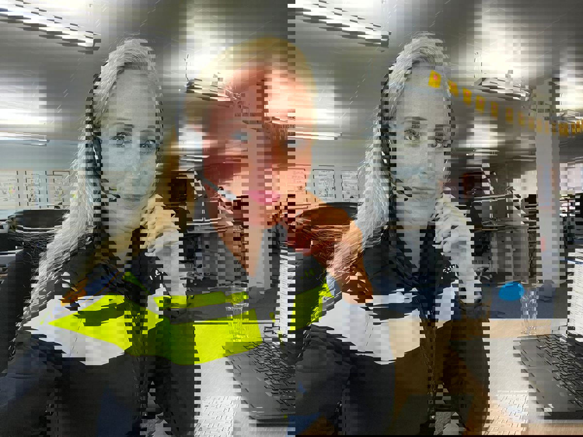 Het verhaal van Jeltje